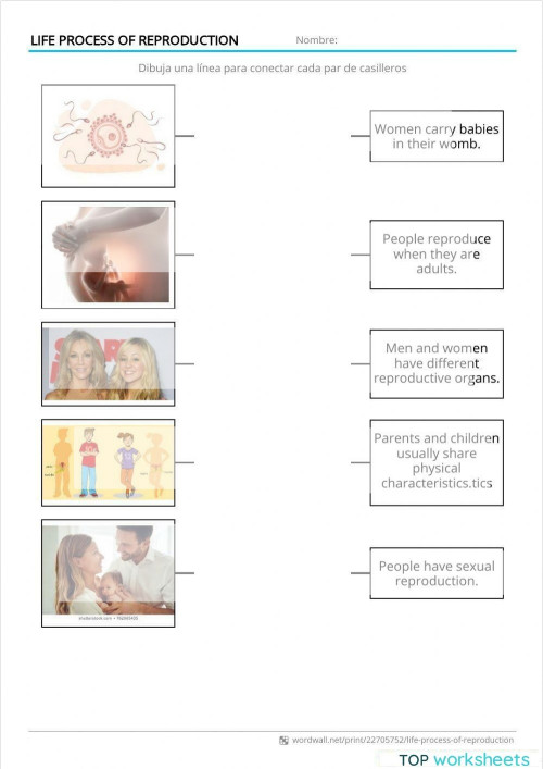 CHARACTERISTCS OF HUMAN REPRODUCTION. Interactive worksheet | TopWorksheets