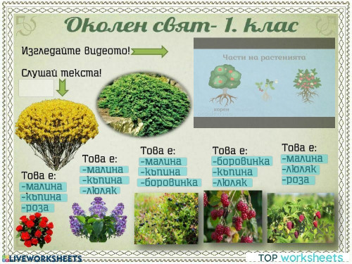 Interactive worksheets and online exercises in bulgarian | TopWorksheets