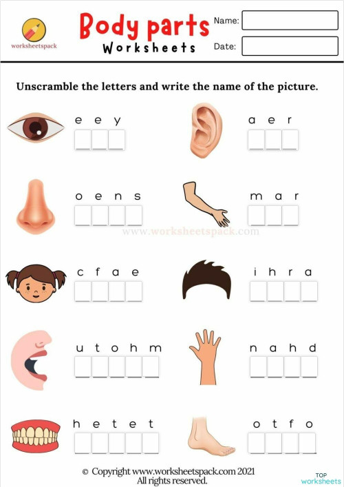 Body parts Anagram. Interactive worksheet | TopWorksheets