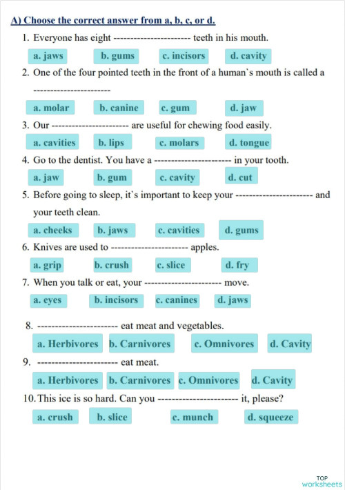 Jr. 5 - unit 3 - vocabulary. Interactive worksheet | TopWorksheets