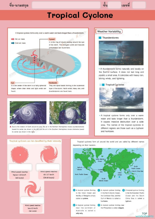 Tropical cyclone. Interactive worksheet | TopWorksheets