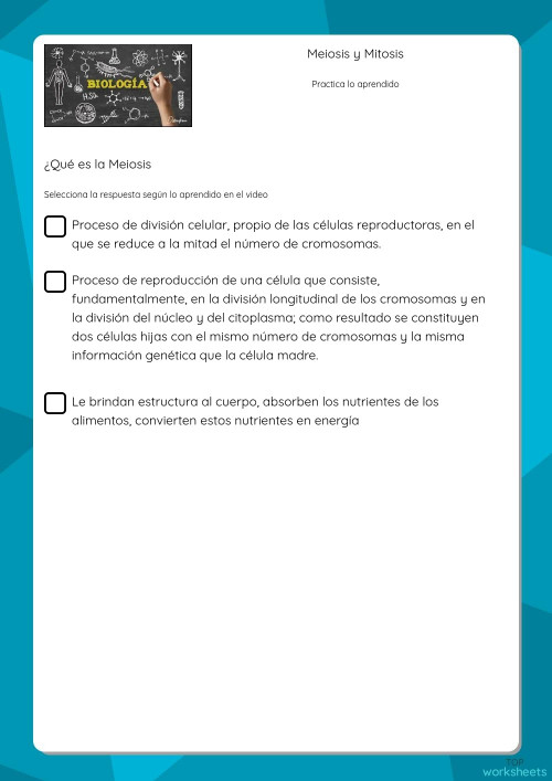 Meiosis y Mitosis. Ficha interactiva | TopWorksheets