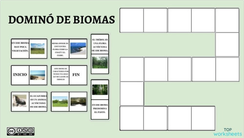 Hojas De Trabajo Imprimibles Sobre Biomas