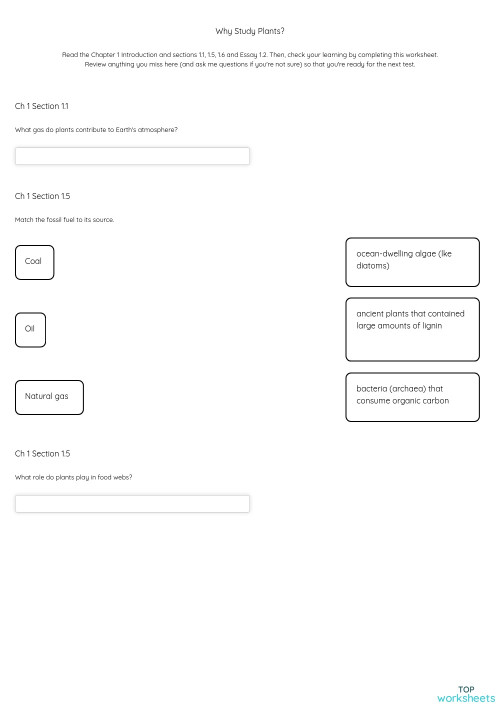 Why Study Plants?. Interactive worksheet | TopWorksheets