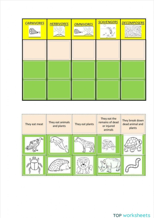 Animals nutrition. Interactive worksheet | TopWorksheets