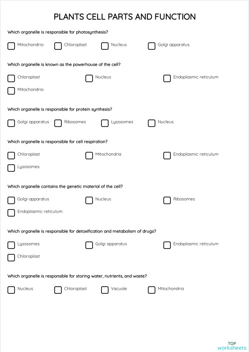 PLANTS CELL PARTS AND FUNCTION. Interactive worksheet | TopWorksheets