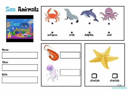 Sea Animals. Interactive worksheet | TopWorksheets
