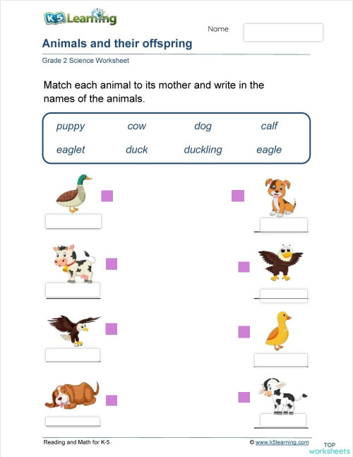 Animals and their Babies. Interactive worksheet | TopWorksheets