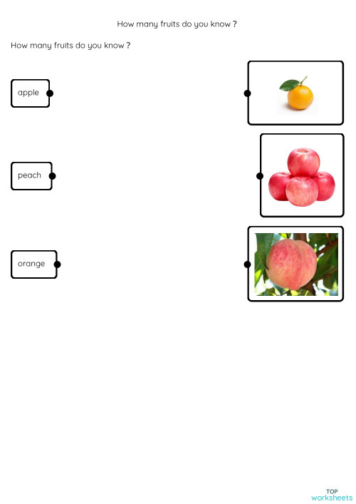 How many fruits do you know？. Interactive worksheet | TopWorksheets