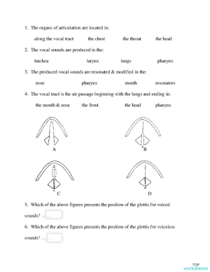 Vocal tract. Interactive worksheet | TopWorksheets