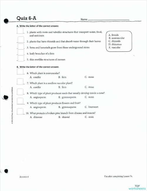 Science Quiz 6-A. Interactive worksheet | TopWorksheets