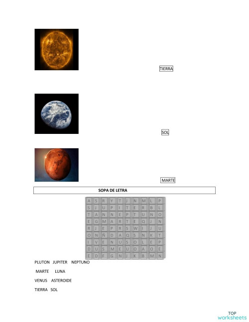 FICHA TECNICA. Ficha interactiva | TopWorksheets