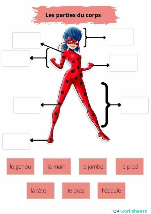 Le corps et le visage. Fiche interactive | TopWorksheets