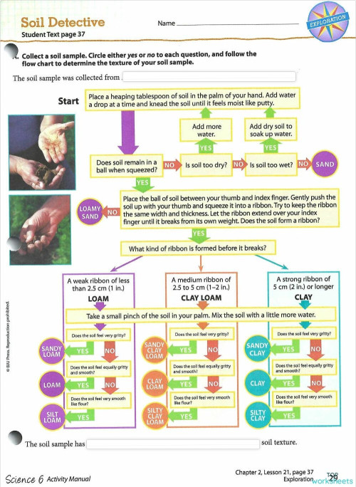 THE EARTH: KEY CONCEPTS. Interactive worksheet | TopWorksheets