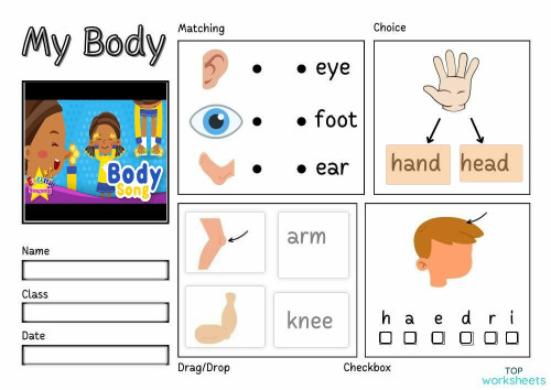 my body worksheet. Interactive worksheet | TopWorksheets