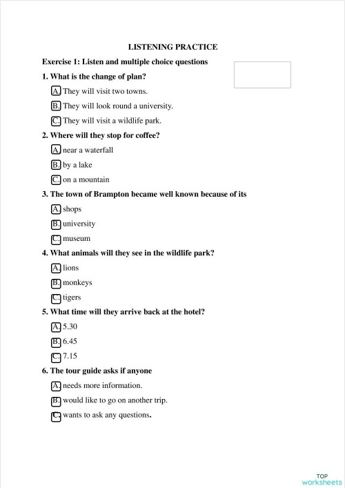 LISTENING PRACTICE. Interactive worksheet | TopWorksheets