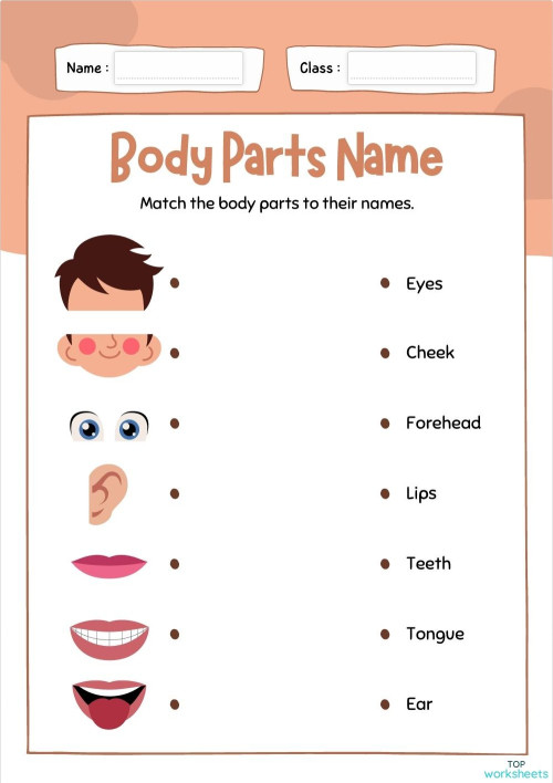 Natural Science Unit 4. Sensitivity. Interactive worksheet | TopWorksheets