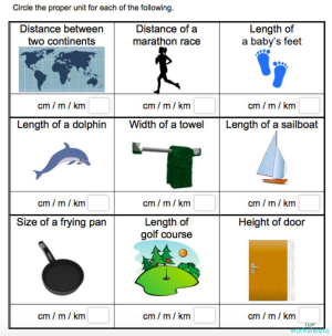Metric units of length. Interactive worksheet | TopWorksheets