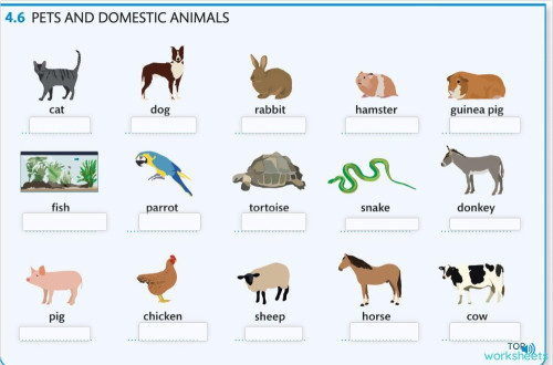 animals vocab1. Interactive worksheet | TopWorksheets