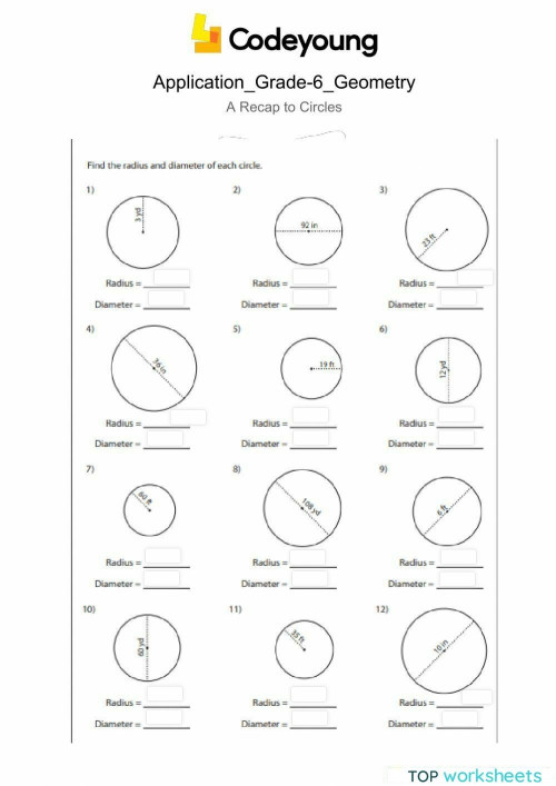 A Recap to Circles Application. Interactive worksheet | TopWorksheets