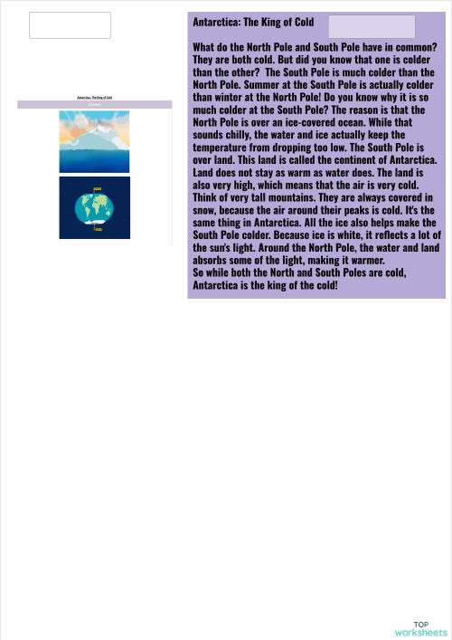 Reading comprehension: interactive worksheets and online exercises ...