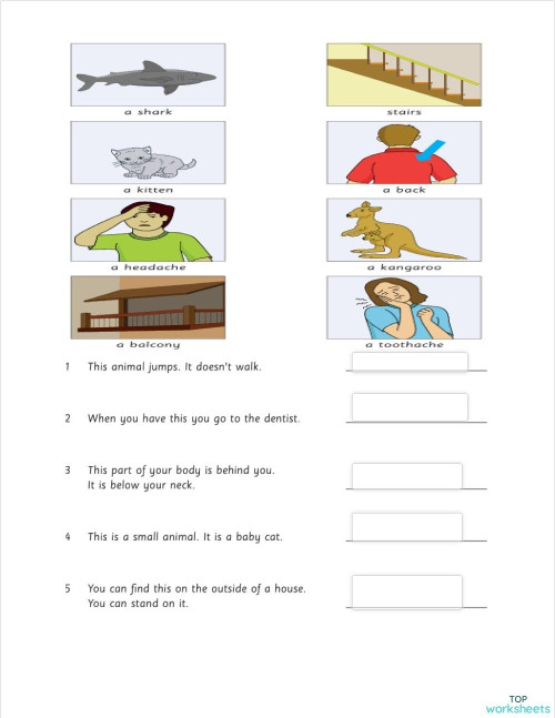 MOVERS- TEST PLUS- RW3. Interactive worksheet | TopWorksheets
