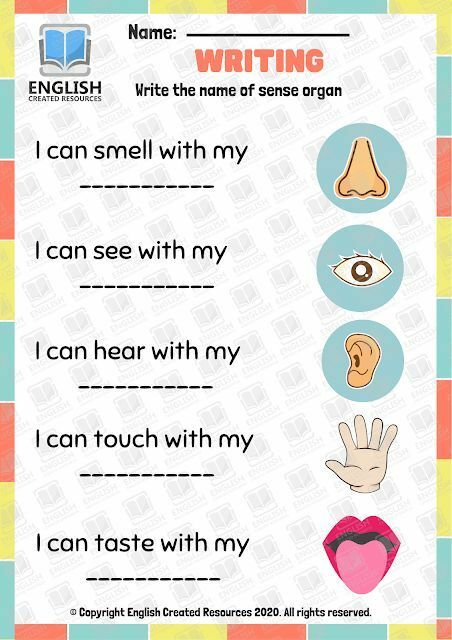 Senses: I hear, I see, I touch, I smell, I taste. Interactive worksheet ...