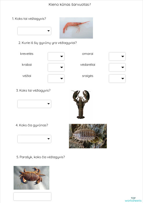 Interactive worksheets and online exercises in Lithuania | TopWorksheets