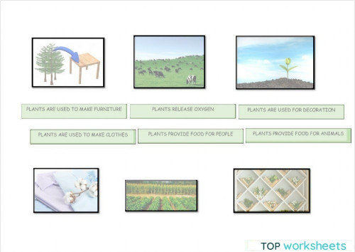Benefits of plants. Interactive worksheet | TopWorksheets