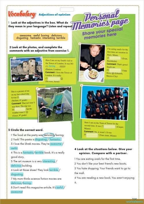 V.5 Vocabulary: Adjectives opinion. Interactive worksheet | TopWorksheets