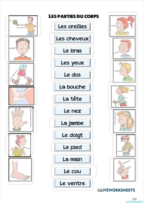 LES PARTIES DU CORPS. Ficha interactiva | TopWorksheets