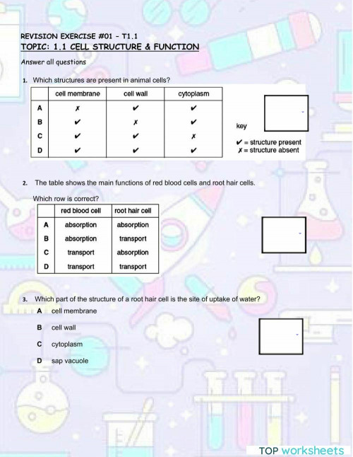 Cell structure. Interactive worksheet | TopWorksheets