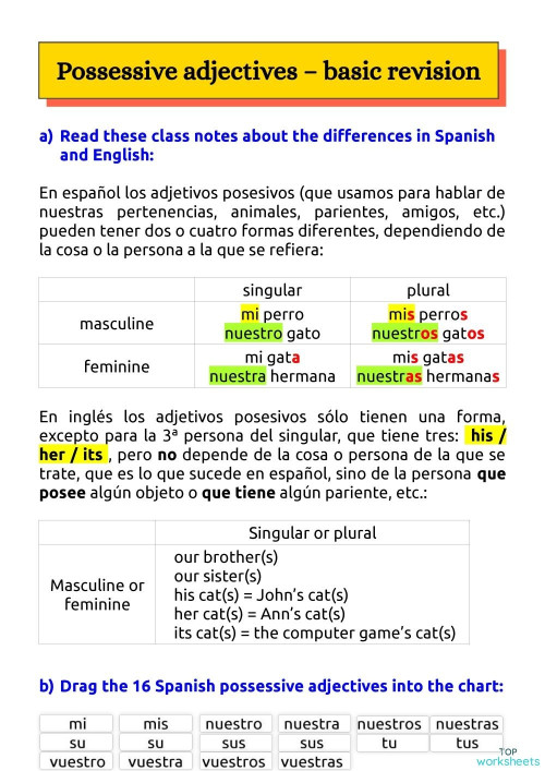 Possessive adjectives - Basic revision. Interactive worksheet ...