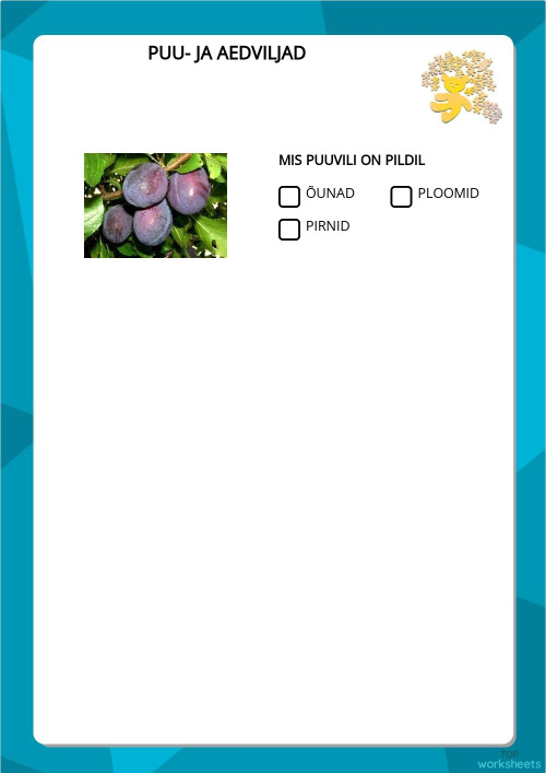 PUU- JA AEDVILJAD. Interactive worksheet | TopWorksheets
