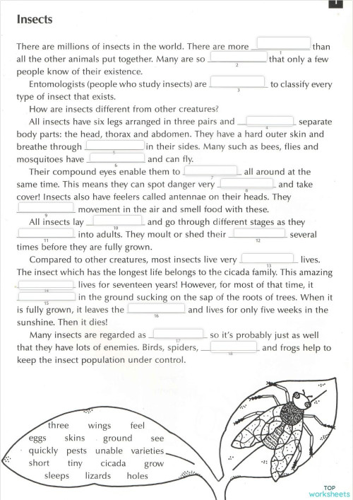 Insect Cloze Passage. Interactive worksheet | TopWorksheets