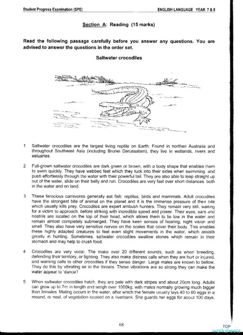 SPE Paper 2014. Interactive worksheet | TopWorksheets