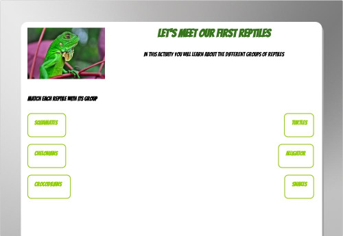 Let's meet our first reptiles. Interactive worksheet | TopWorksheets
