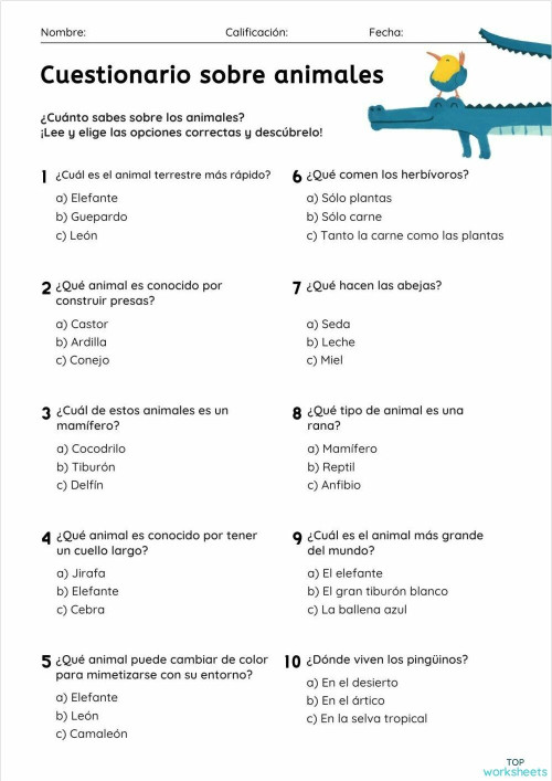 Ficha Interactiva Multiple Choice Quiz Worksheet In Colorful Simple ...