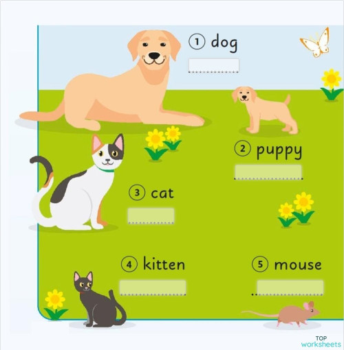 Newspaper Report (Labeling). Interactive worksheet | TopWorksheets