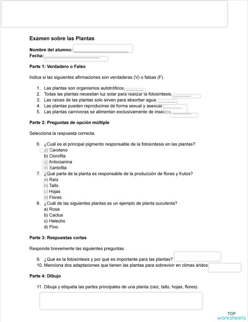 las plantas. Ficha interactiva | TopWorksheets