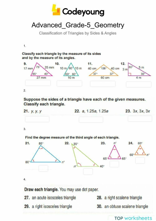 Advanced-Classification of Triangles by Angles. Interactive worksheet ...