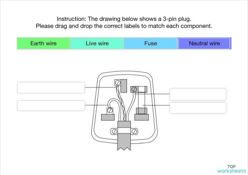 3 pin plug. Interactive worksheet | TopWorksheets