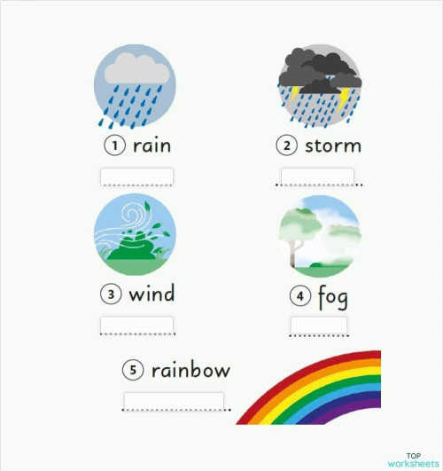 5 words a day weather. Interactive worksheet | TopWorksheets