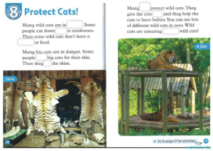 Nov 3_Wild cats_Chapter 8. Interactive worksheet | TopWorksheets
