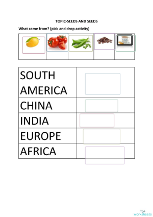 SEEDS AND SEEDS. Interactive worksheet | TopWorksheets