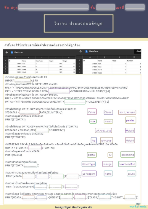 ใบงาน ประมวลผลข้อมูลด้วย Python ใบงานเชิงโต้ตอบ | TopWorksheets