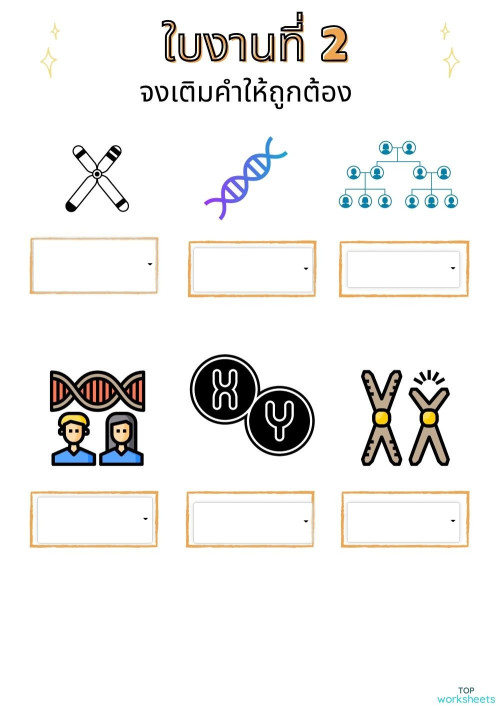 ใบงานที่ 2 Dropdown ใบงานเชิงโต้ตอบ | TopWorksheets