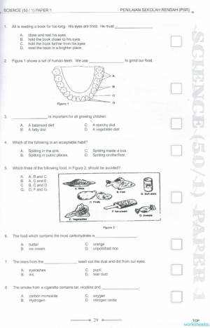 PSR BOOK PAPER 1 THEME 4. Interactive worksheet | TopWorksheets