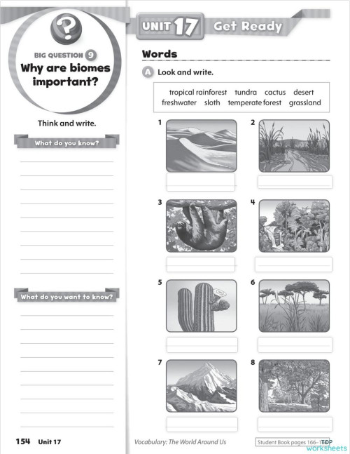OD4 17 WB 154 155 Words. Interactive worksheet | TopWorksheets