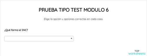 PRUEBA TIPO TEST MODULO 6. Ficha interactiva | TopWorksheets